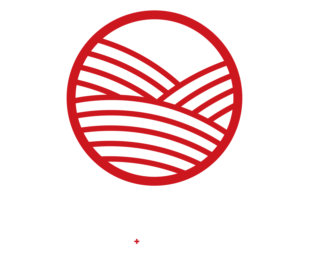 Kaimuki Shokudo SOBA IZAKAYA Kaimuki Shokudo SOBA IZAKAYA